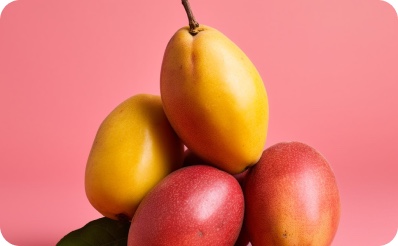 Home [provaslim.com]