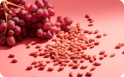 Home [provaslim.com]